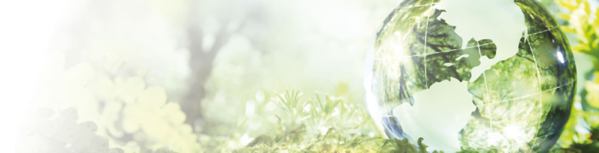 Home | Bioagricert: Certification Body of organic productions and other ...