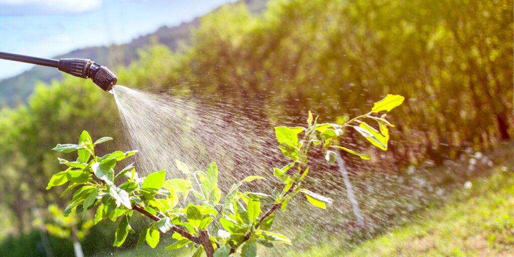 Non ci sono più i corroboranti di una volta! | Bioagricert: organismo ...